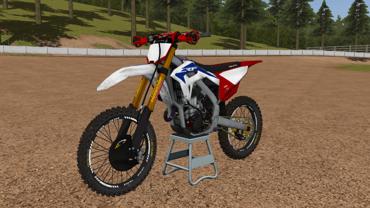 Clean/ Basic CRF250 – MXB-Mods.com