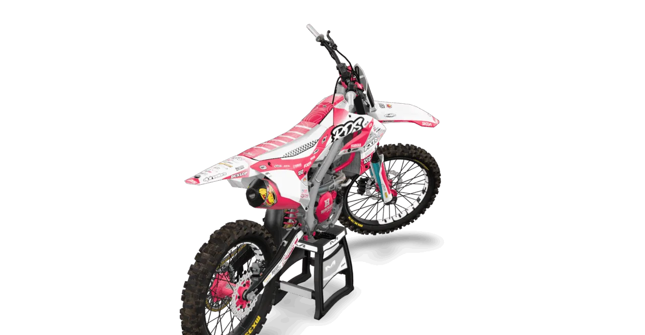 RDS Team Livery (pink) – MXB-Mods.com