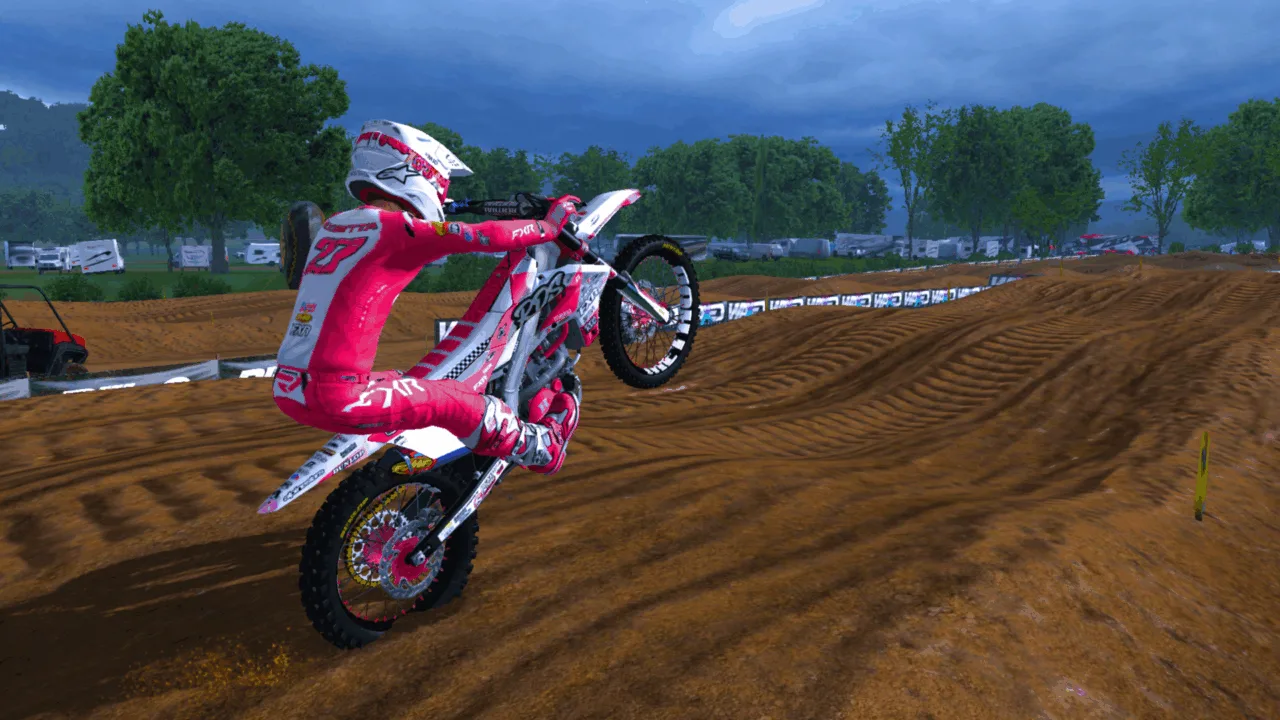 RDS Team Livery (pink) – MXB-Mods.com