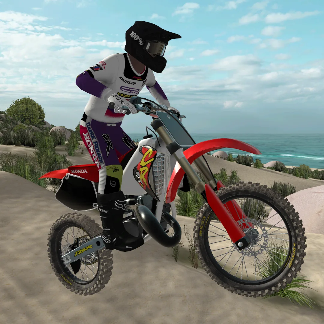 PROSX Cadre Rouge PICHON + PUB – MXB-Mods.com